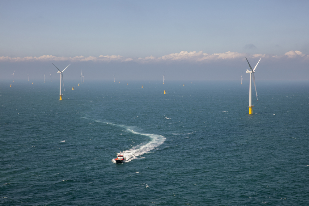 Development - Rampion 2