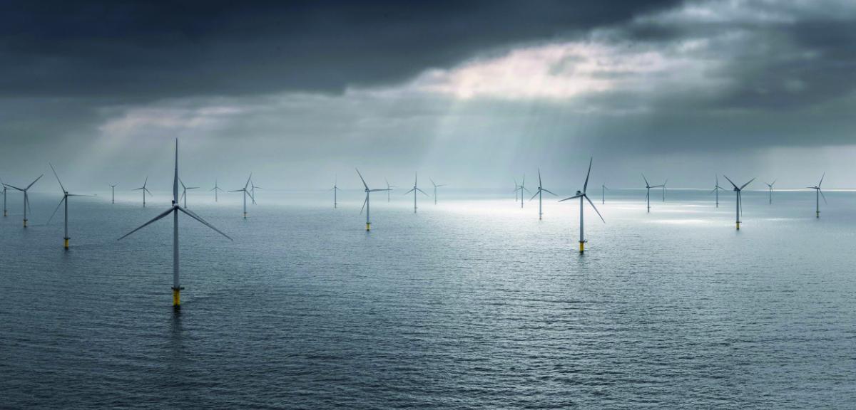 January 2024 - Rampion 2